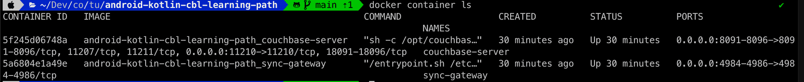 Tutorial - Set up Sync Gateway for use with Inventory Demo App | Couchbase Developer Portal