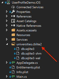 Tutorial - Quickstart in Couchbase Lite Query with C#, .NET, and Xamarin Forms | Couchbase ...