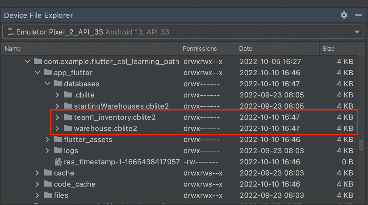 Tutorial - Include a Pre-built Database with Dart and Flutter | Couchbase Developer Portal